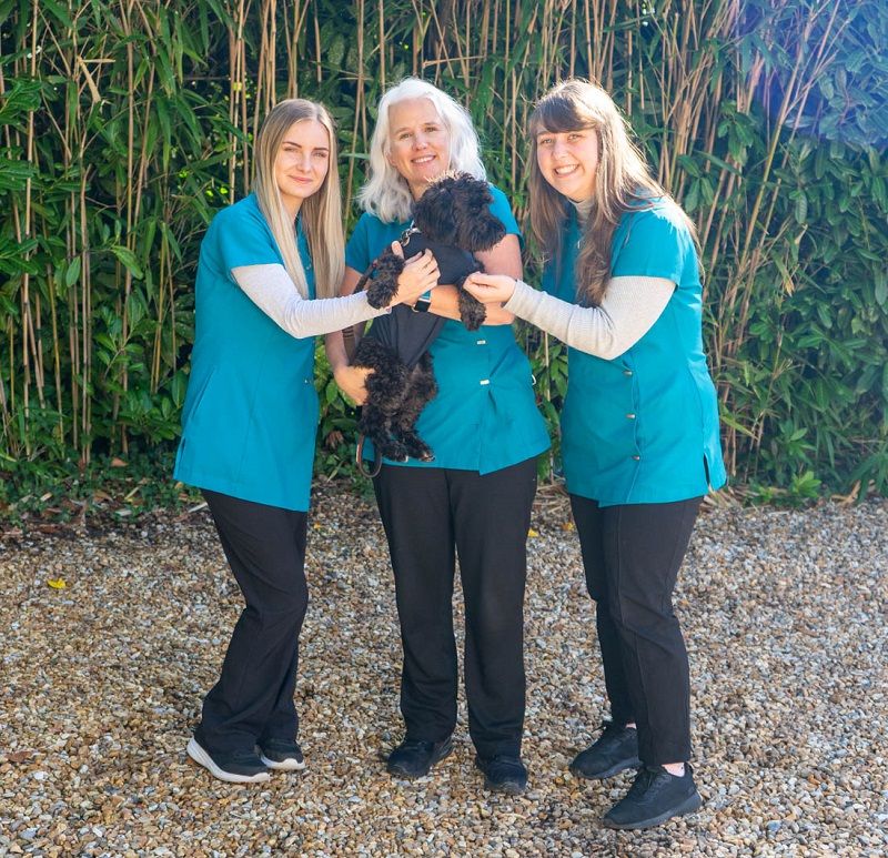 Pet Health Plan | Adelaide Vets