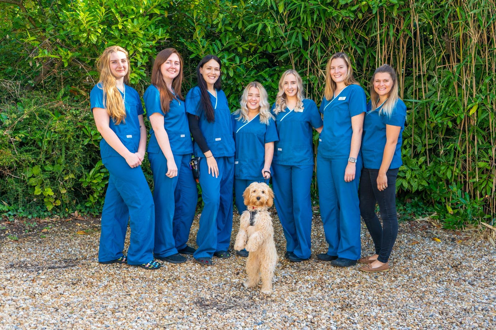 About us | Adelaide Vets
