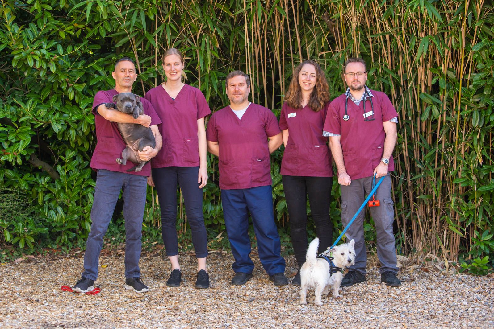 About us | Adelaide Vets