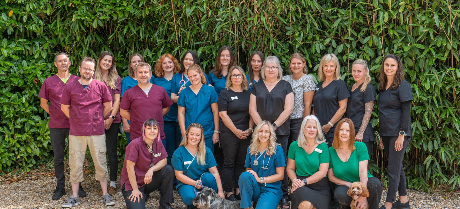 Adelaide Vets | Professional Pet Care in Southampton